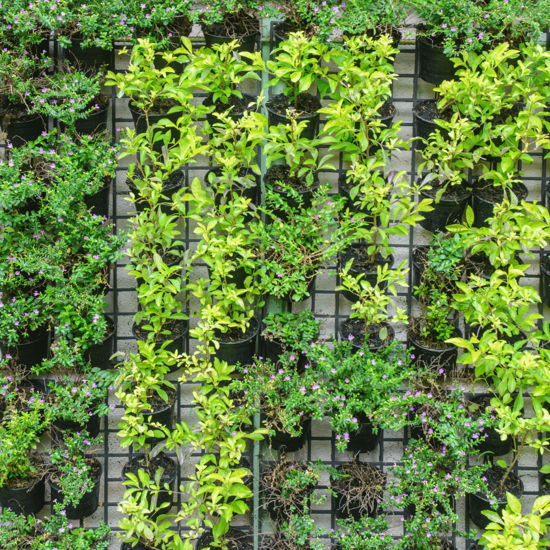 Cherry Hill Township Plans to Purchase and Preserve Holly Revine Farms ...